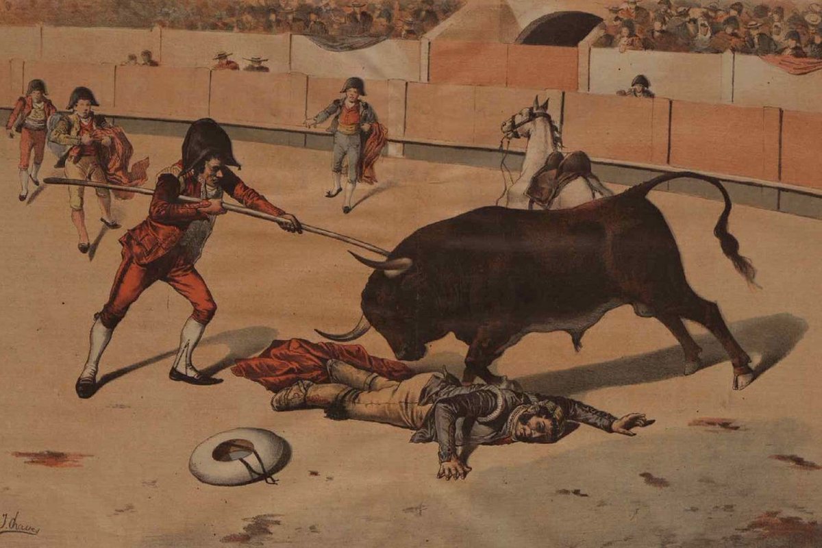 Lewica walczy z… corridą - NCZAS.COM