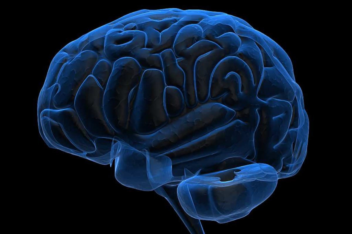 Światowy Dzień Mózgu. "Wyniki leczenia pozostają niezadawalające ...